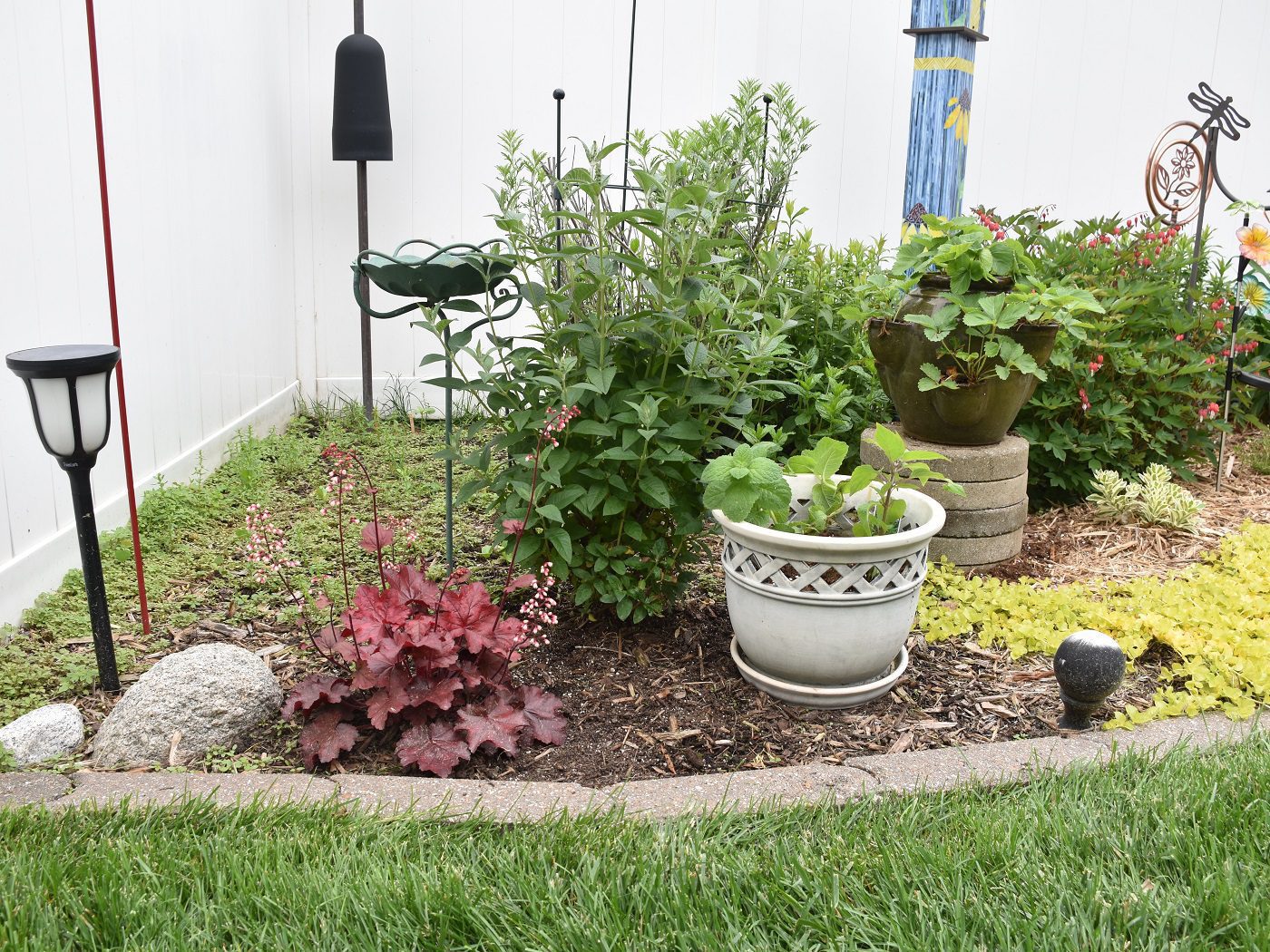 August Garden Roundup Tips ryoureadytoorganize.com